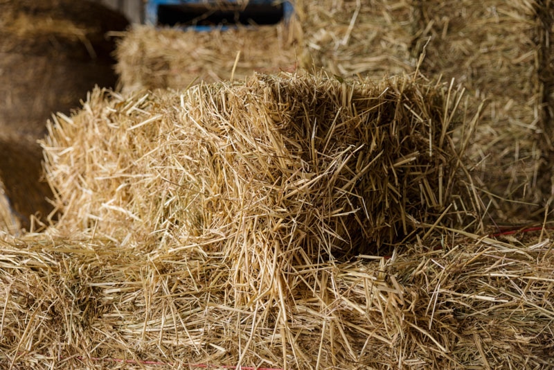 Equine & Stock Feed - Sandersons