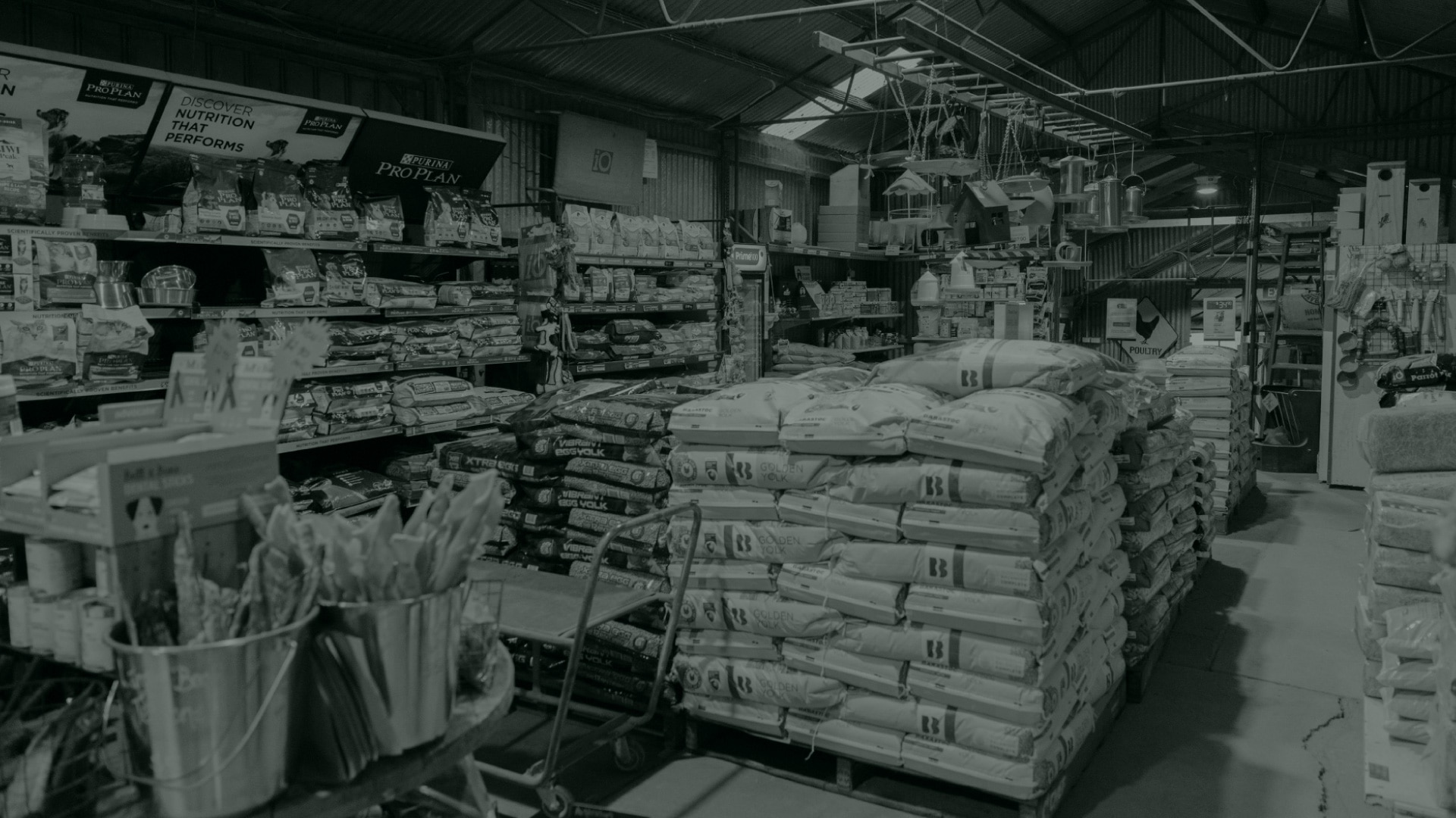 Equine & Stock Feed - Sandersons