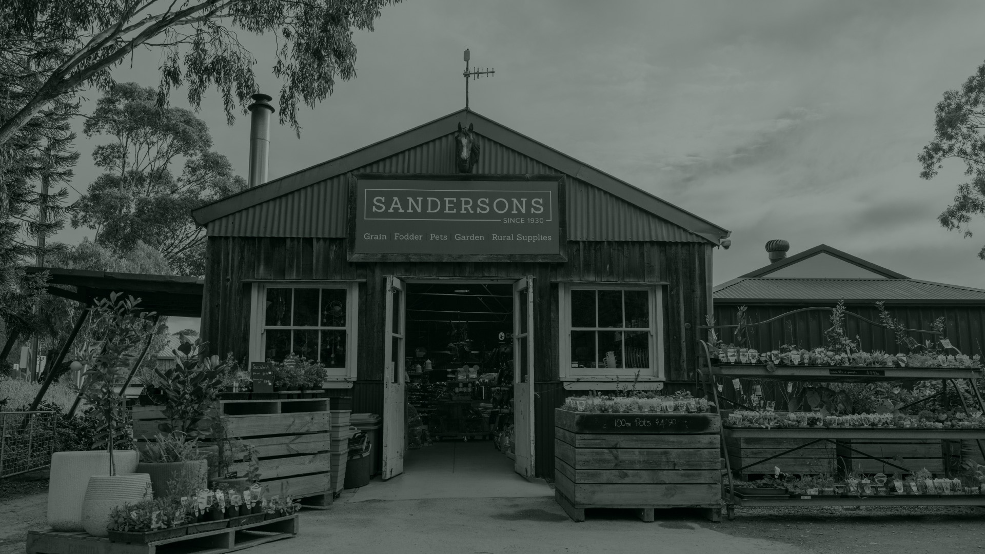 News | Sandersons