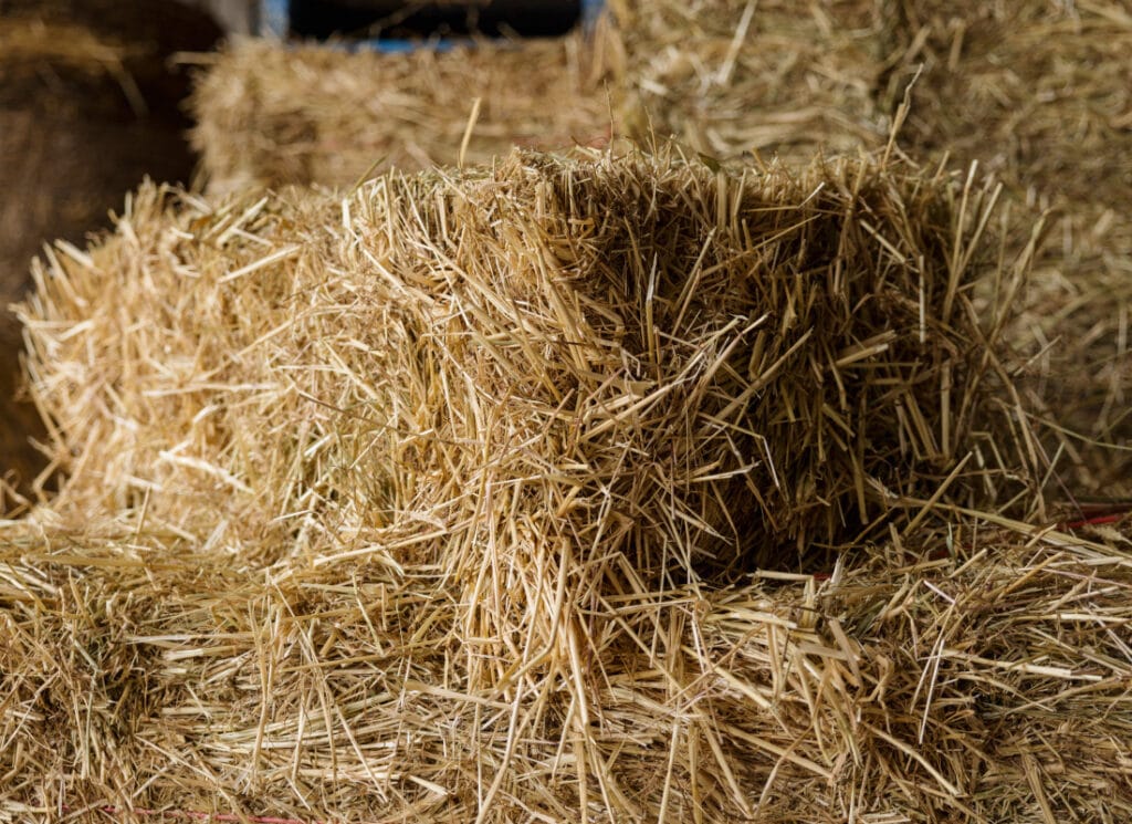 Products - Sandersons