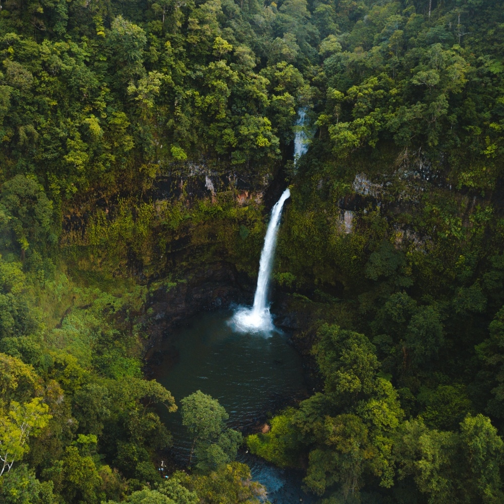 Seven themed Queensland road trips | scout magazine