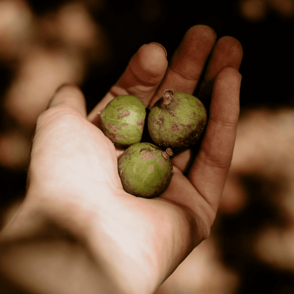 Things to do in autumn on the Gold Coast | scout magazine