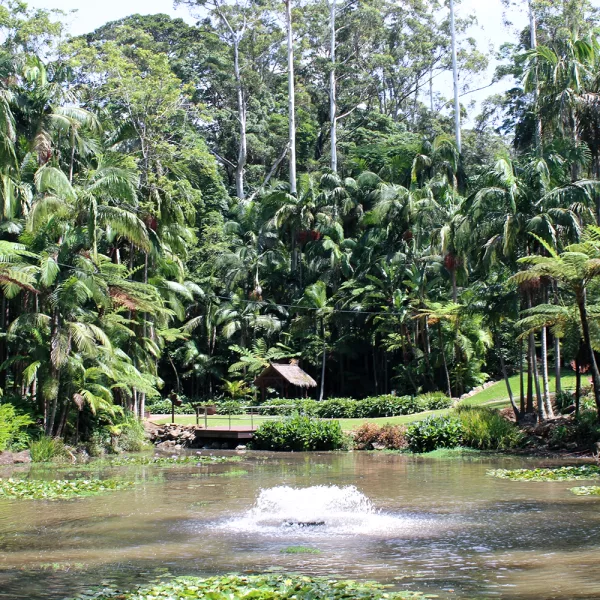 Things to do in Tamborine | scout magazine