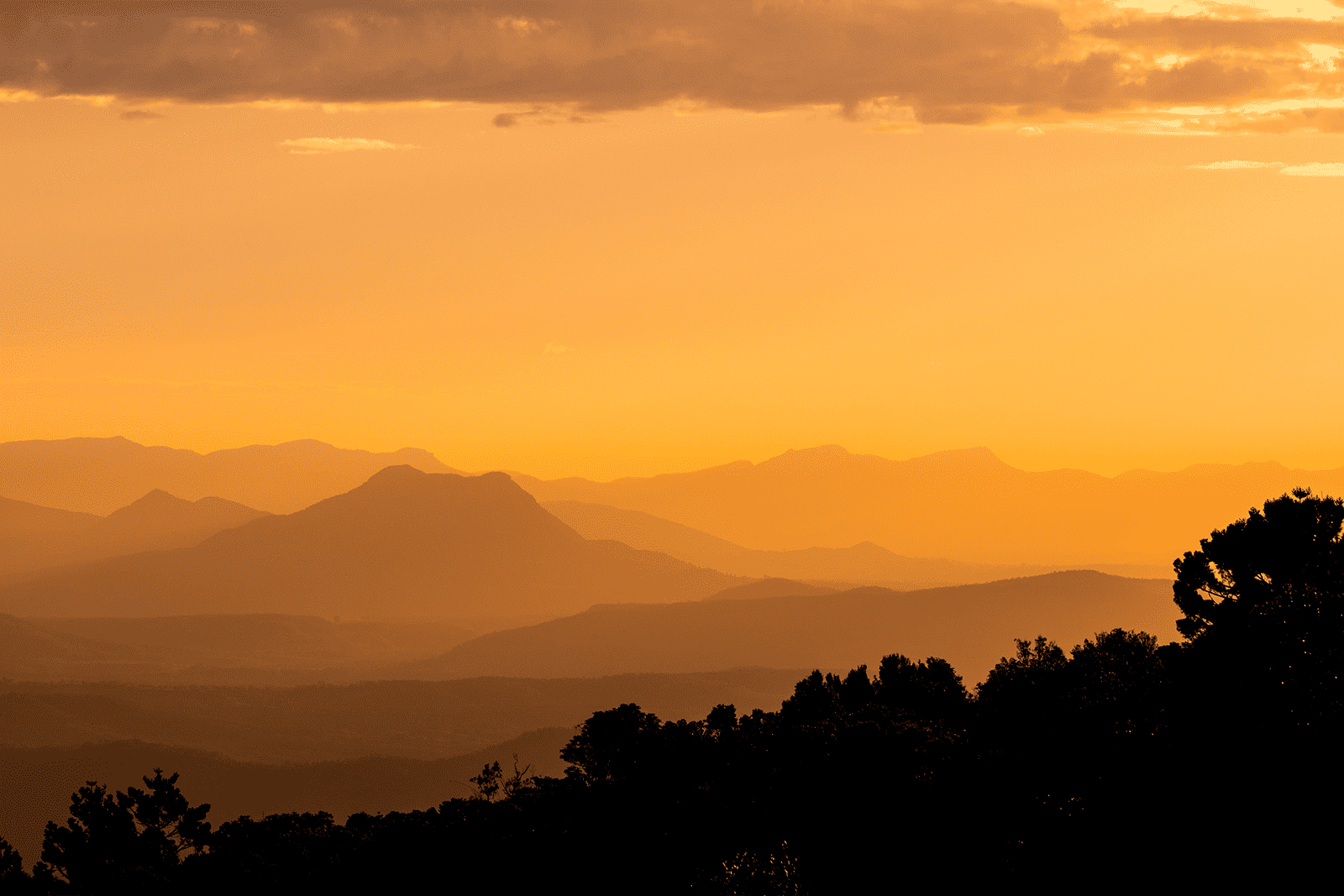 What to do in winter on the Gold Coast | scout magazine