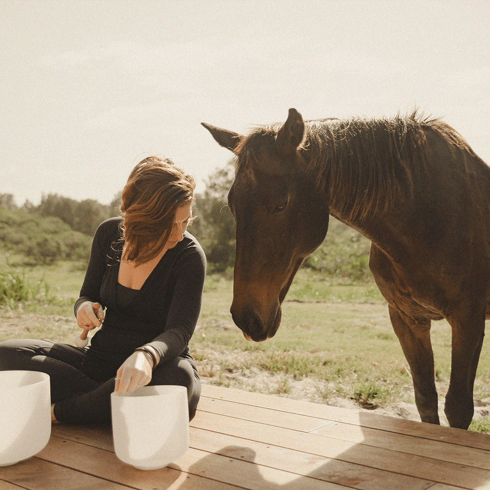 What on earth is equine therapy? | scout magazine
