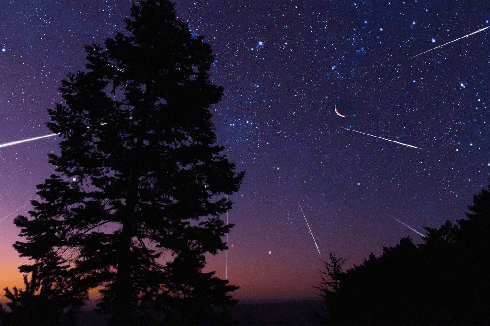 Perseid Meteor Shower: How to watch on the Gold Coast | scout magazine