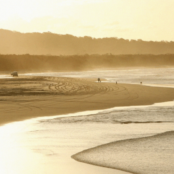 Straddie: Our official guide | scout magazine