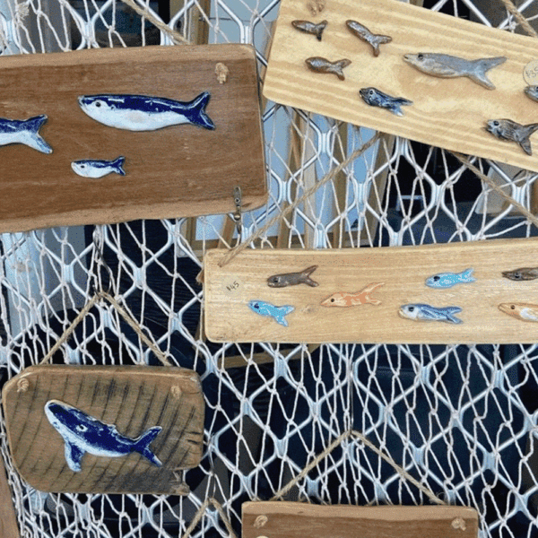 Straddie: Our official guide | scout magazine