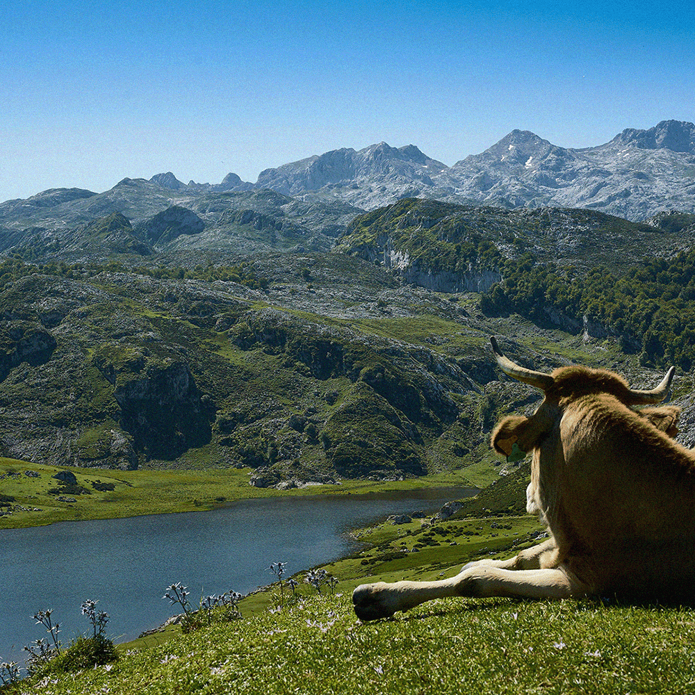 Hidden gems in the world’s most visited countries | scout magazine
