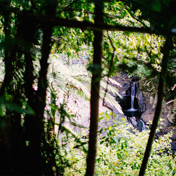 The best waterfalls and rock pools near the Gold Coast | scout magazine