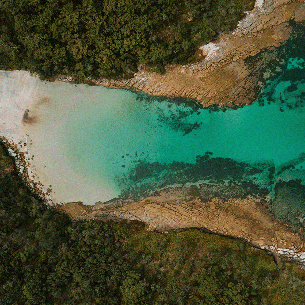 Travel destinations to add to your 2026 bucket list | scout magazine