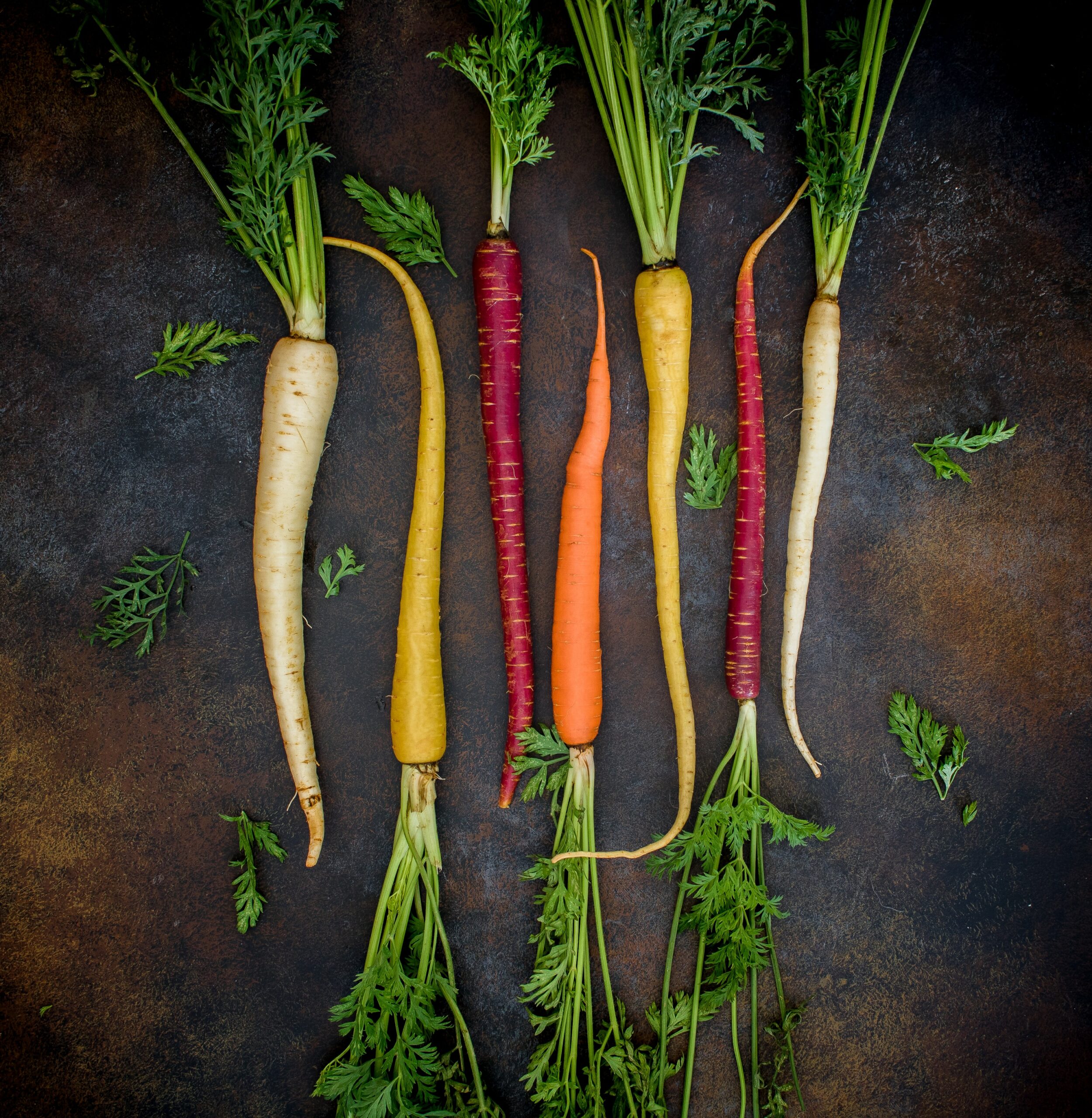 How to Grow Heirloom Carrots – Simple Homesteading