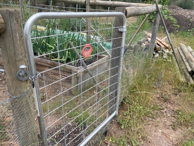 A fenced food garden on a budget – Simple Homesteading