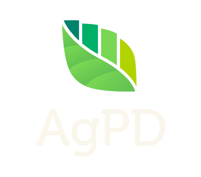 Work | Spark Identity