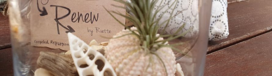 Award winning restyling "Renew by Riette" - Switch Your Thinking