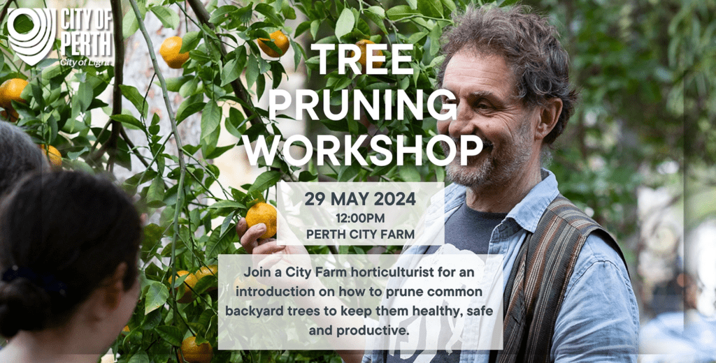 Tree Pruning Workshop - Switch Your Thinking