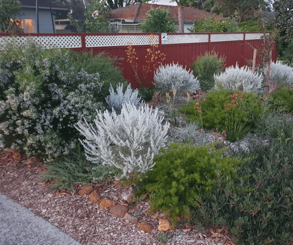 Water-sensitive garden design using biofiltration - Switch Your Thinking