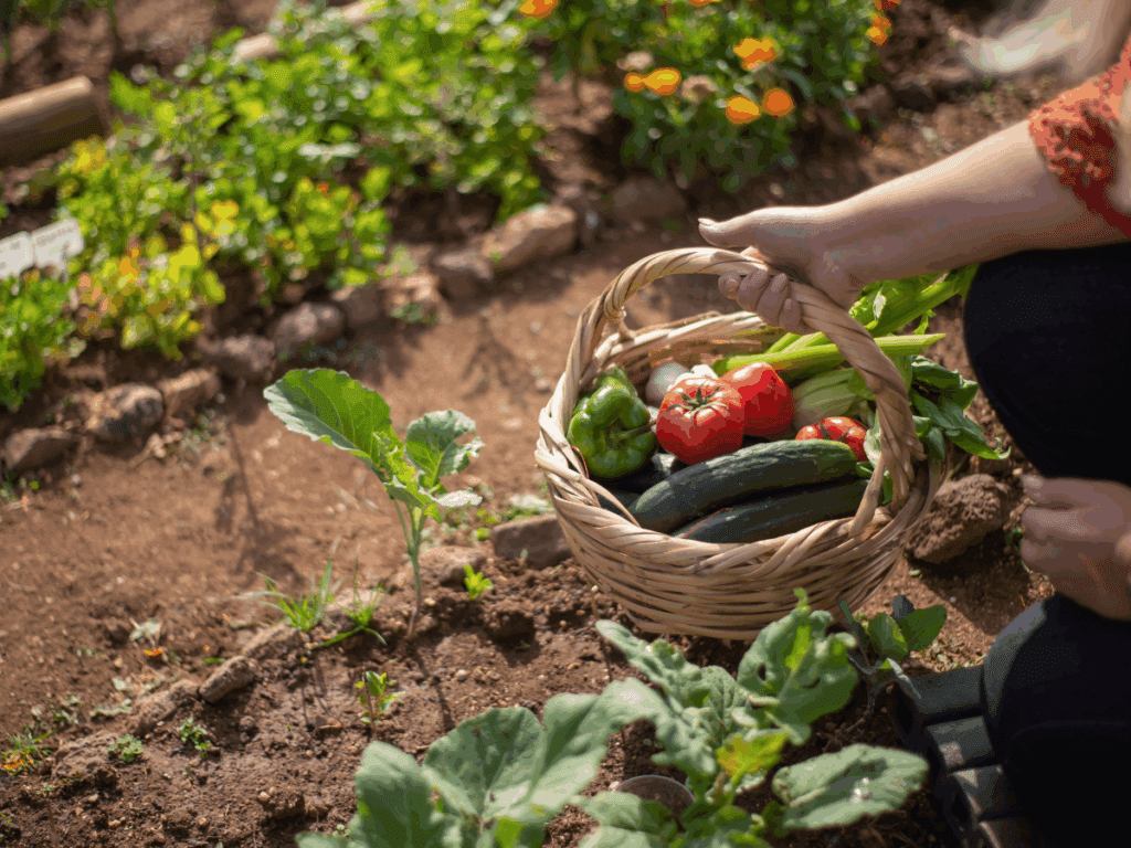 Integrated Pest Management Workshop - Switch Your Thinking