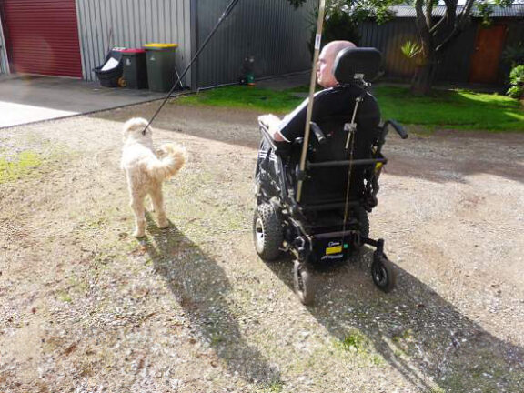 A tail-wagging-worthy walk in your wheelchair - TADSA