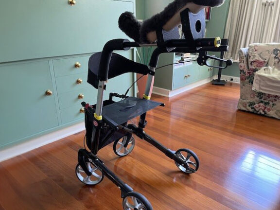 Single-handed walker with extended cushion handle - TADSA