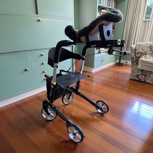 Single-handed walker with extended cushion handle - TADSA