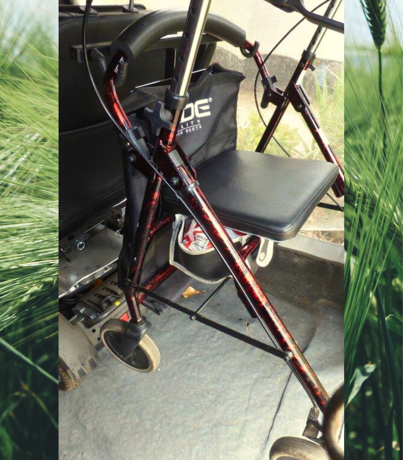 Mobility Scooter Mounted with Walker Carrier - TADSA