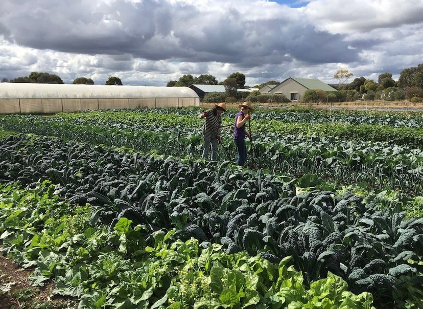 Events and Resources | Food systems workshops - The Food Embassy