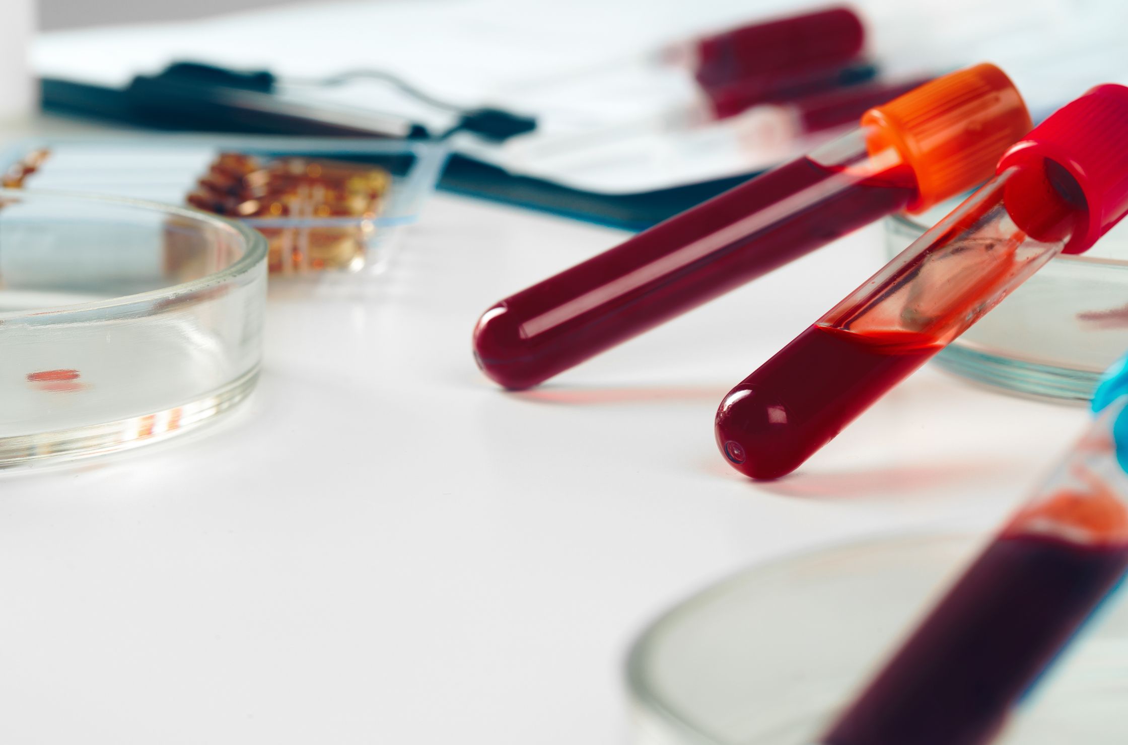 Blood Tests Adelaide | Fast, Accurate & Holistic Testing