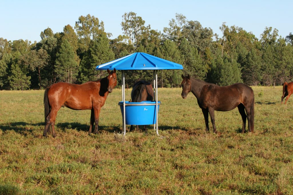 Nicholas Markwell is supplementing his horses for only $130 for the ...