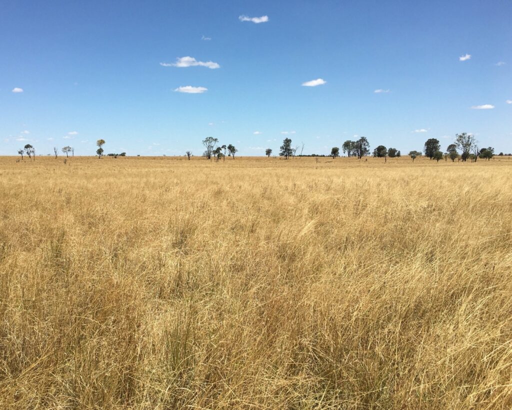 Why You Should Be Testing Your Pasture