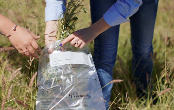 Why You Should Be Testing Your Pasture