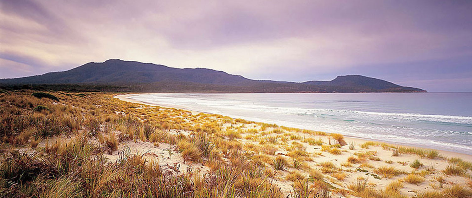 Things to do in Maria Island - Triabunna Cabin & Caravan Park