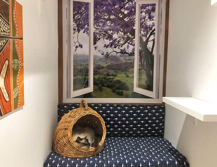 Luxury Cat Boarding - The Vet Lounge