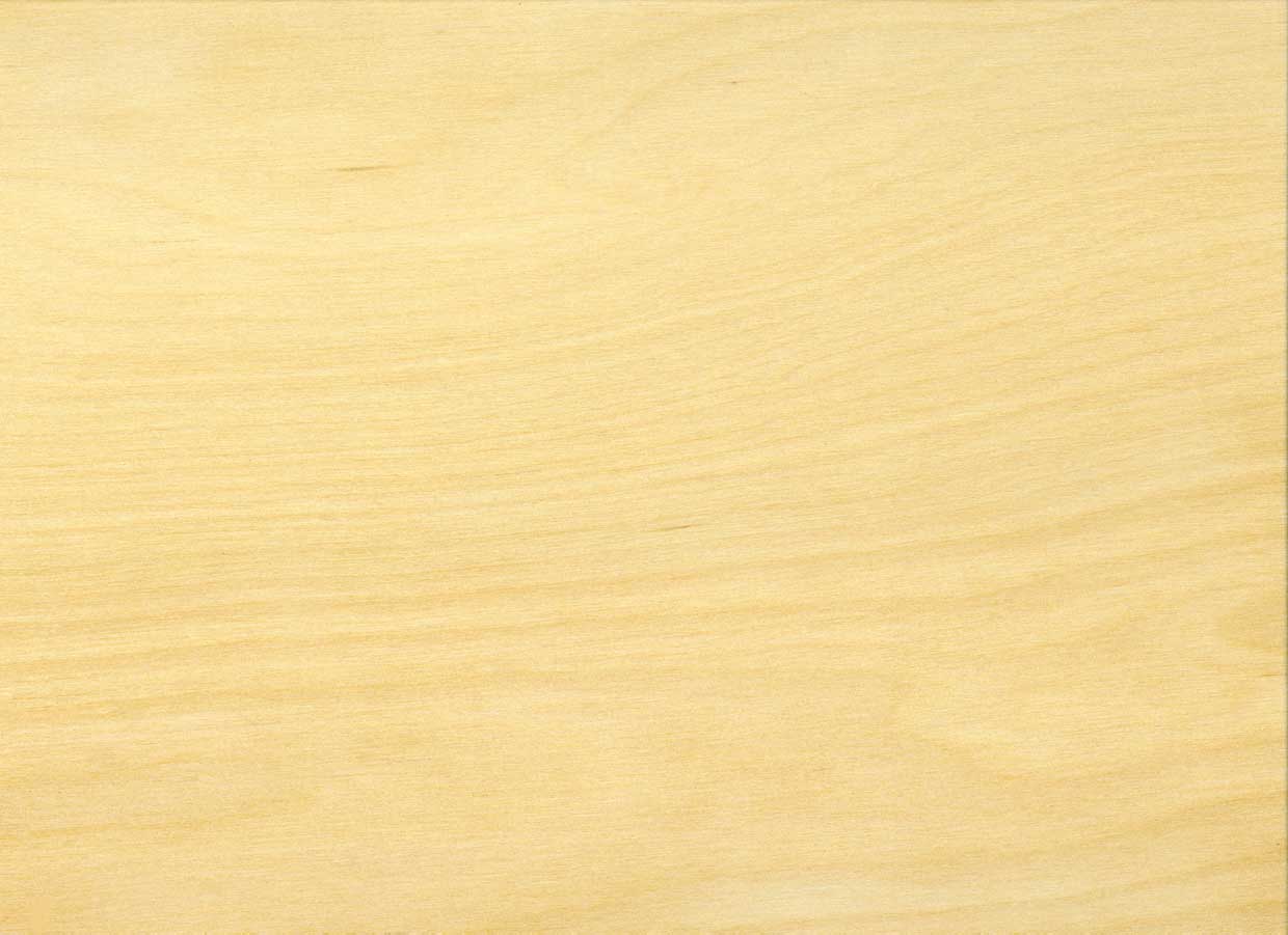 maple-texture - Vida Lifestyles