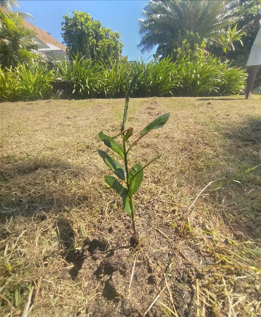Earth Day 2023 - VOMO's "Clean Sweep" event - Vomo Island Fiji