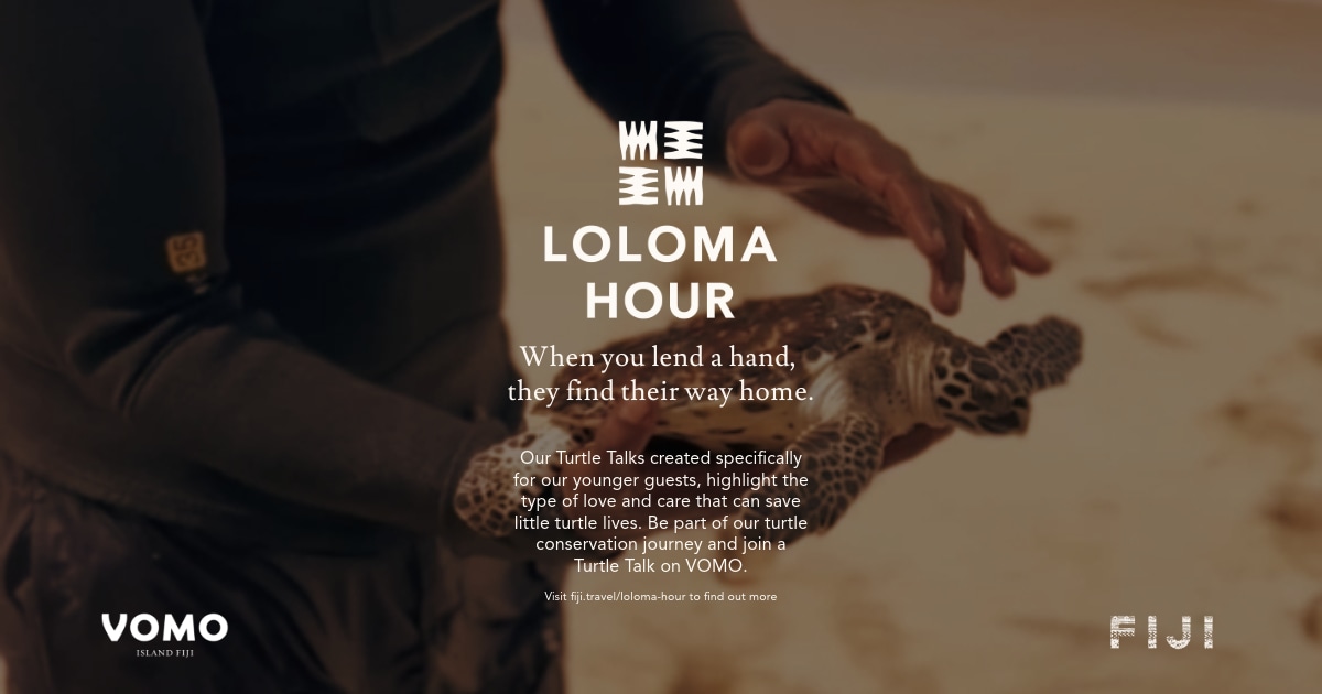 Turtle Talks - Share the Loloma (Love) - Vomo Island Fiji