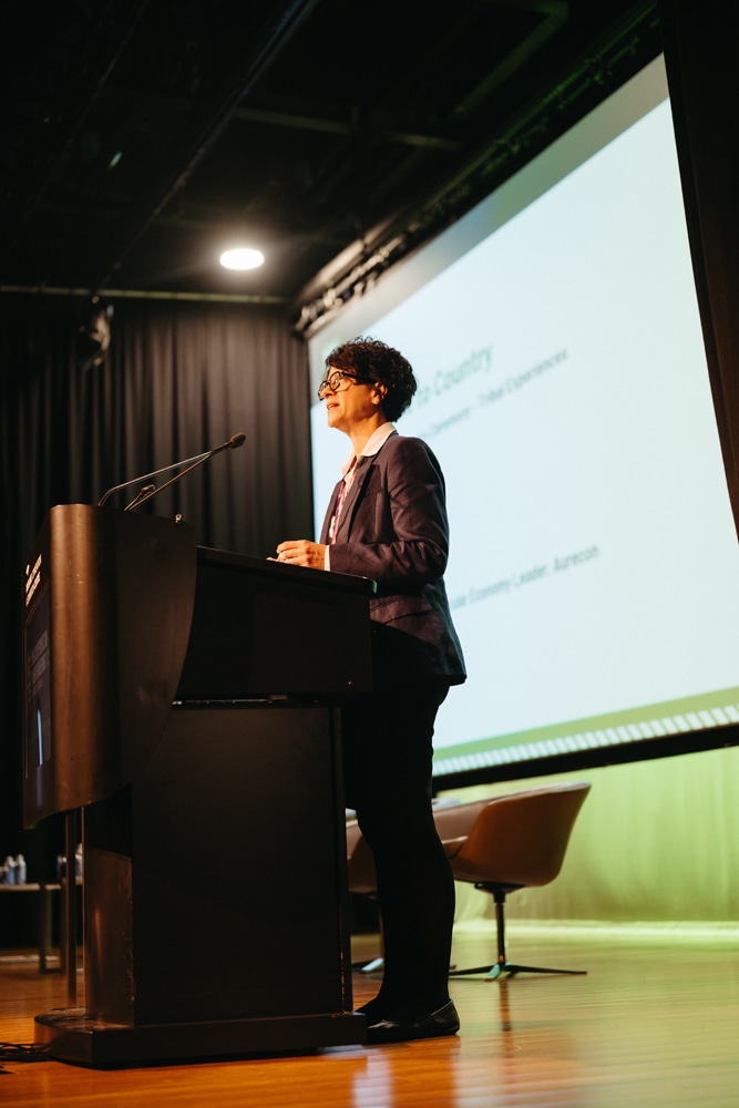 News / Gallery – WCTE 2025