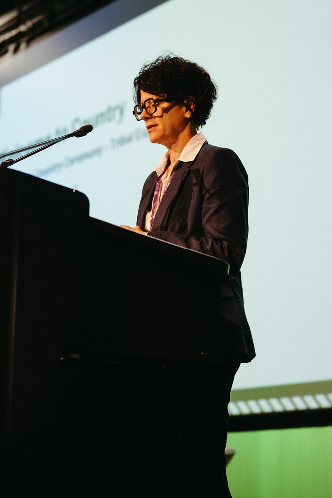News / Gallery – WCTE 2025