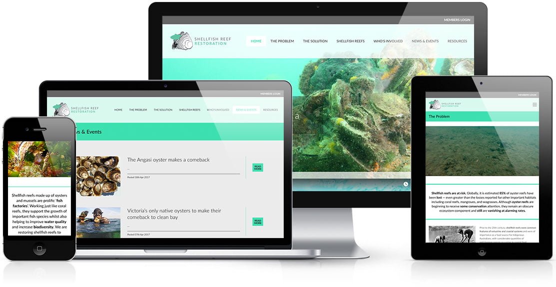 Reef Research Website Design | Zephyrmedia | Gold Coast