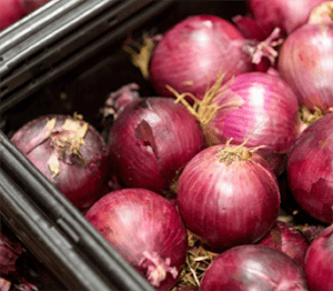 Zerella Fresh Onions zerellafresh - Australian Grown