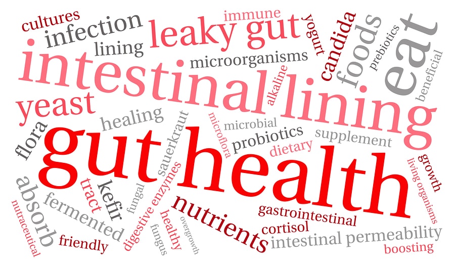 Natural Prebiotics - Your Gut Health Toolbox