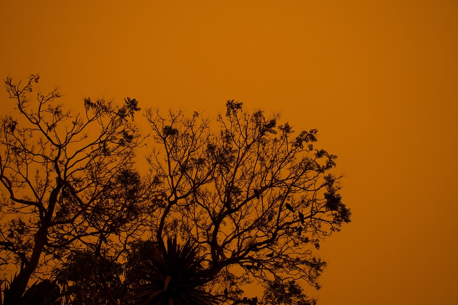 Top 6 Tips For Dealing With Smoke & Dust